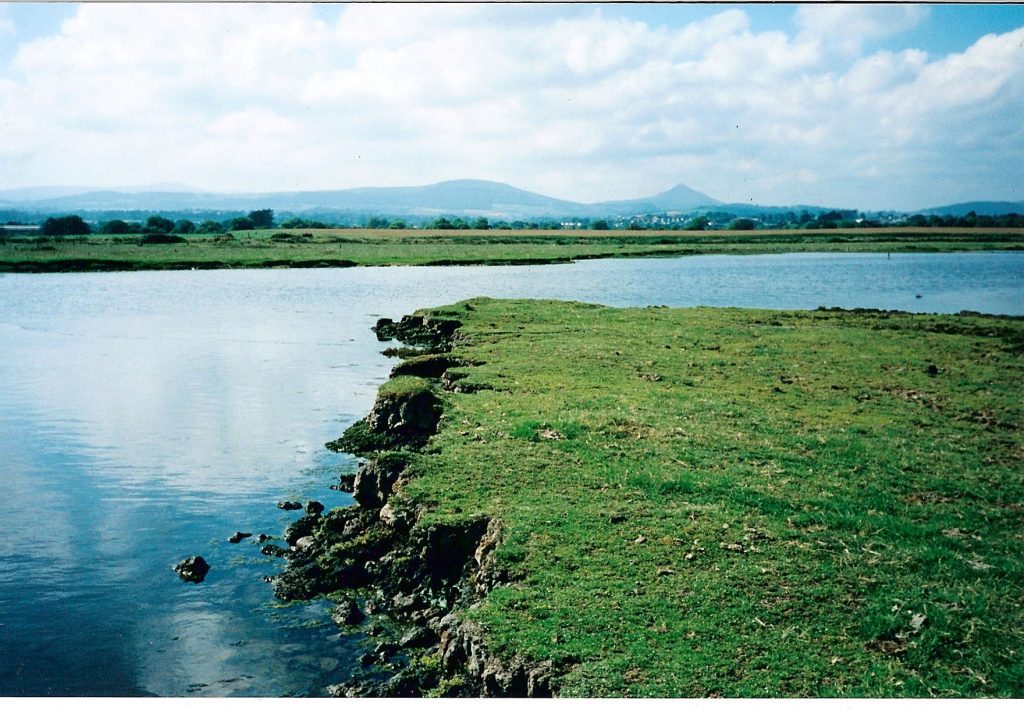 Wicklow - irishlagoons.com